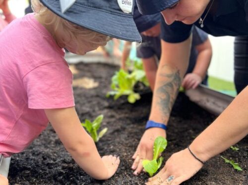 VEYLDF Implementation | Elles Belles Early Learning